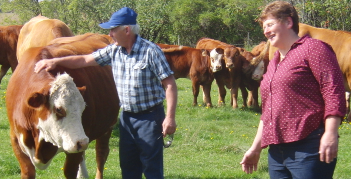 A propos – Formido